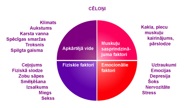 Esi vesels, bet tomēr bieži nomoka galvassāpes? - VIASMS.LV